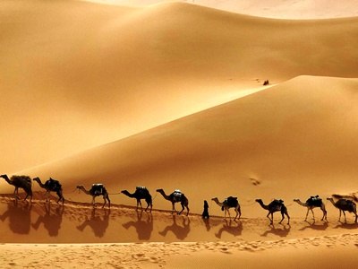 Council of Ukrainian Muslims | New year of 1434 by Muslim calendar ...